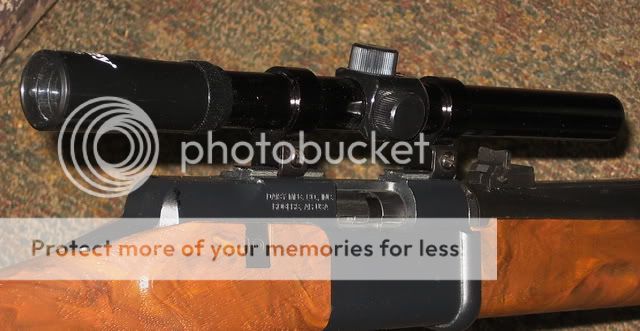 Scope mounts for Daisy .22 | National Gun Forum